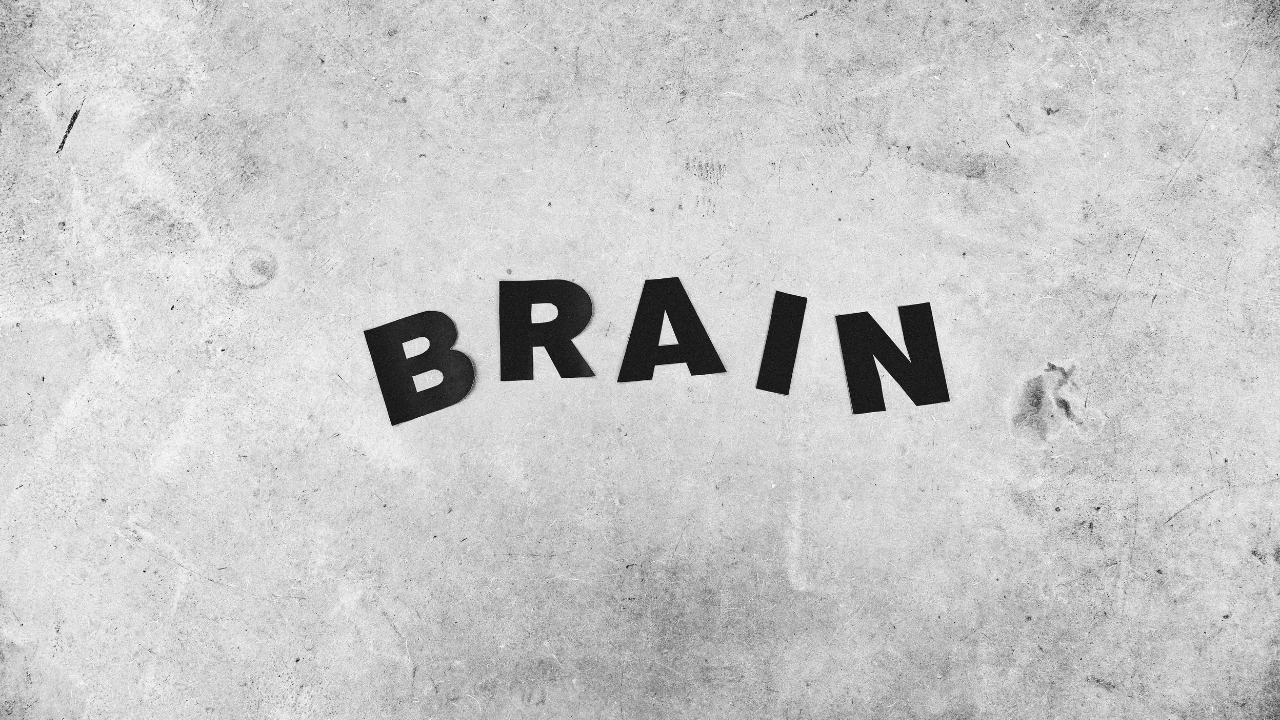 The Neuroscience of Recovery: How Your Brain Heals in Addiction Treatment